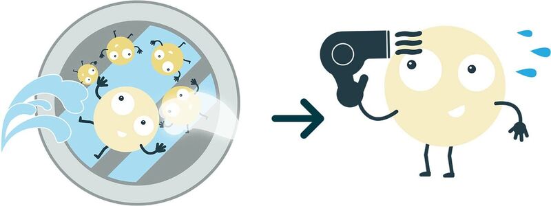 Seed Processing | From seed to sugarbeet | SESVanderHave