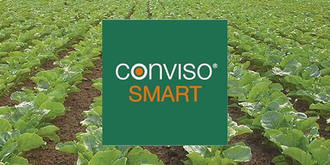 Onze oplossingen | Van zaad tot suikerbiet | SESVanderHave