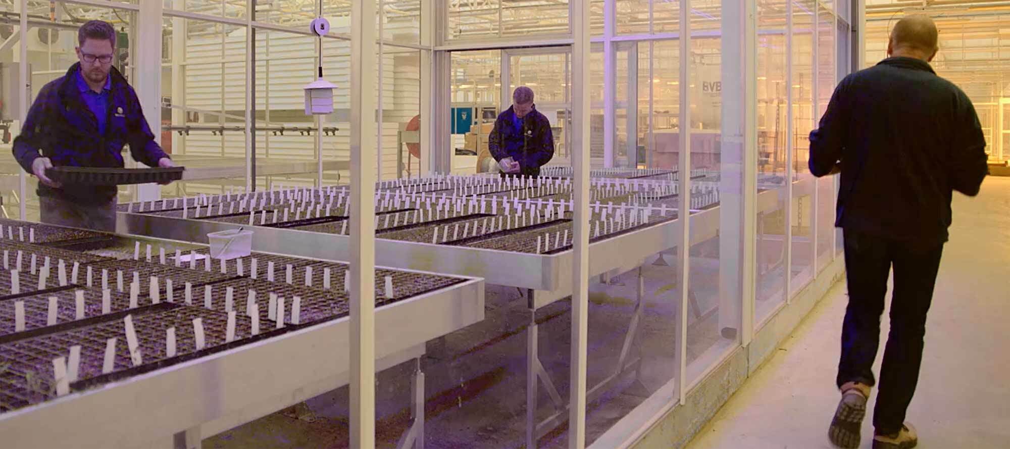 Our teams | From seed to sugarbeet | SESVanderHave